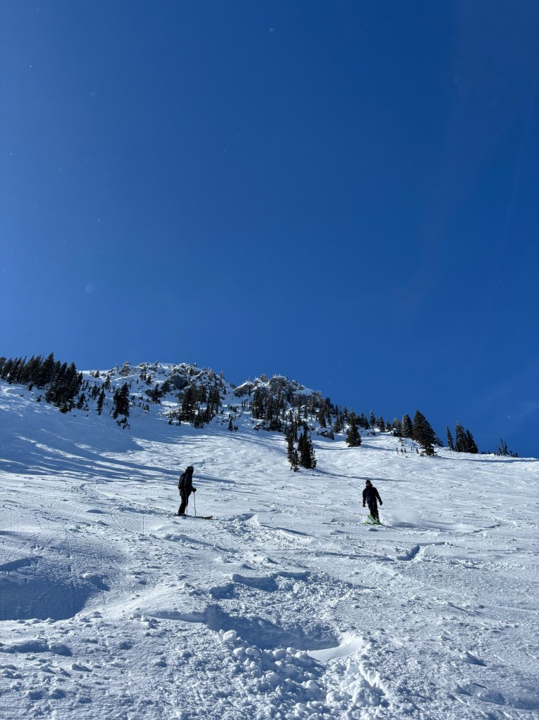 Job Experience – Madelyn Johnson